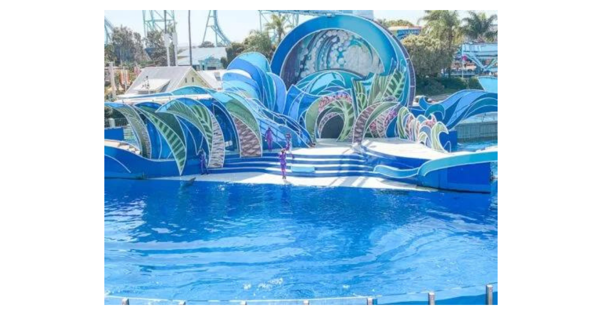 An Exciting Day Trip To Sea World San Diego